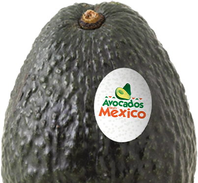 Foodservice - Avocado University | Avocados From Mexico